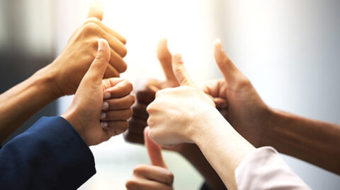 Neubauvermarktung - Ogulo